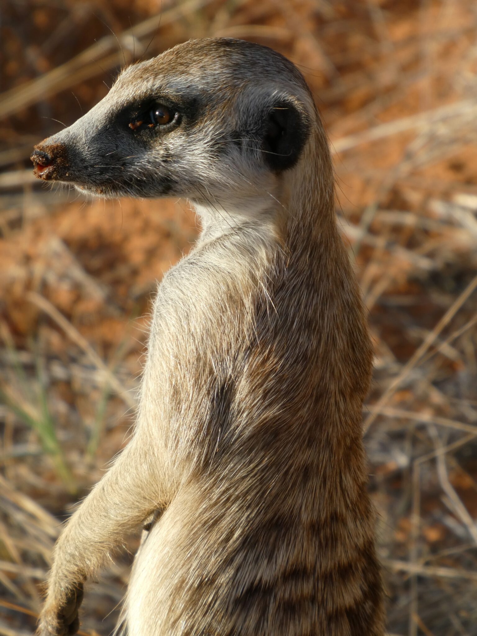 March 2024 Life History File – FKMP